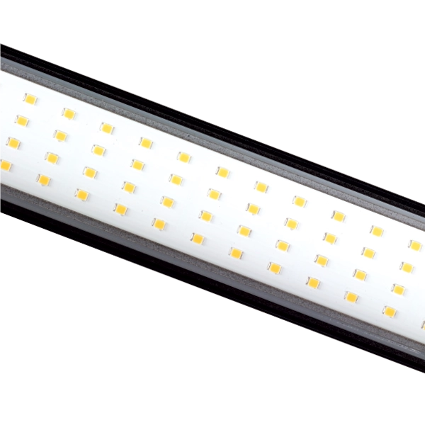 InterLED™ – Centric Lighting